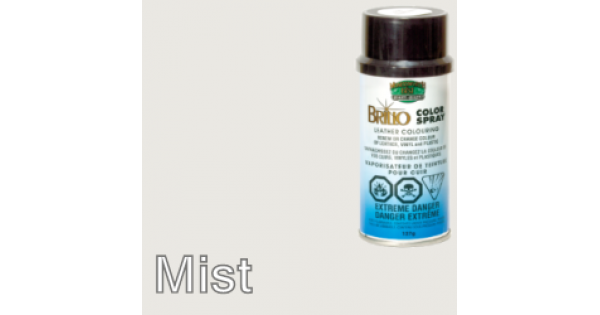 Mist (Like White) Brillo Aerosol 178ml Vinyl Dye Plastic Paint